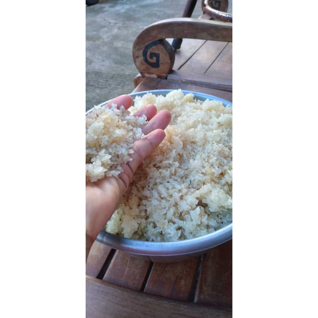 Jual Nasi Aking /Nasi kering siap goreng | Shopee Indonesia