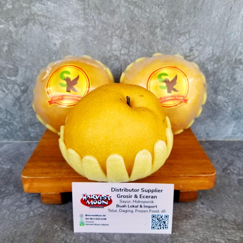 Jual HarvestMoon Pear Singo RRC per Pcs | Shopee Indonesia