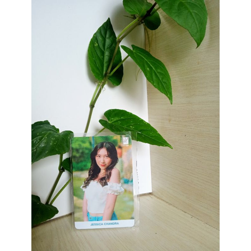 Jual photocard JKT48 JESSI summer tour 2023 | Shopee Indonesia