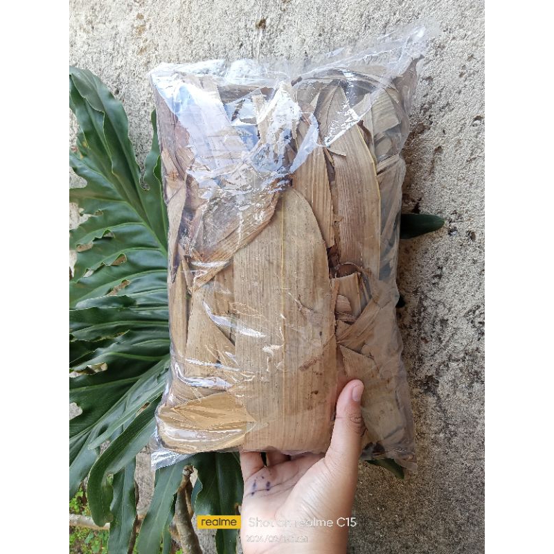 Jual daun bambu kering/media tanaman hias/bonsai | Shopee Indonesia Jual daun bambu kering/media tanaman hias/bonsai | Shopee Indonesia