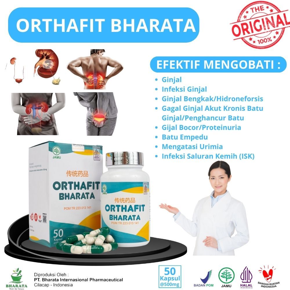 Jual Obat Ginjal Herbal Ampuh Orthafit Bharata Original - Obat Gagal Ginjal Akut dan Kronis ...