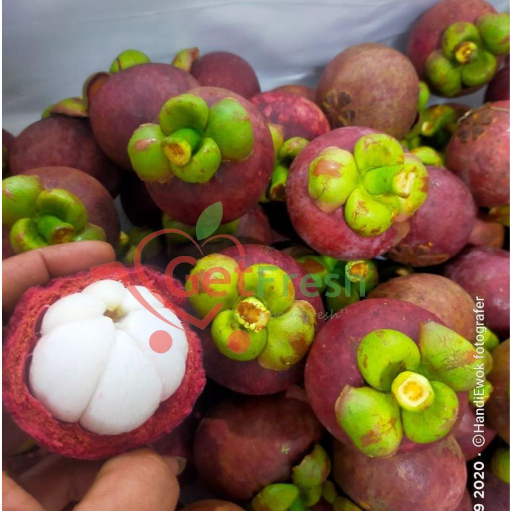 Jual Manggis 950gr - 1Kg | Shopee Indonesia