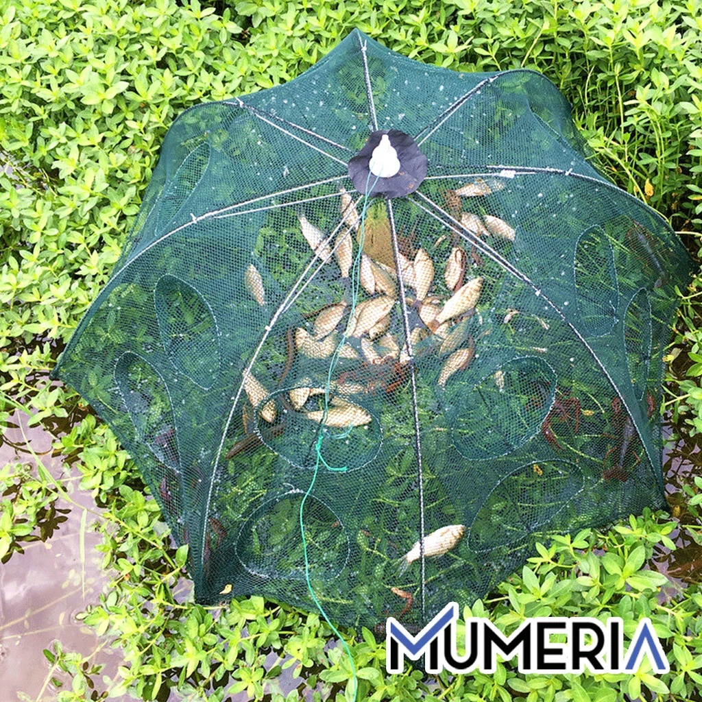 Jual OUTRED Perangkap Bubu Payung 12 Lubang Alat Jaring Pancing Jala ...