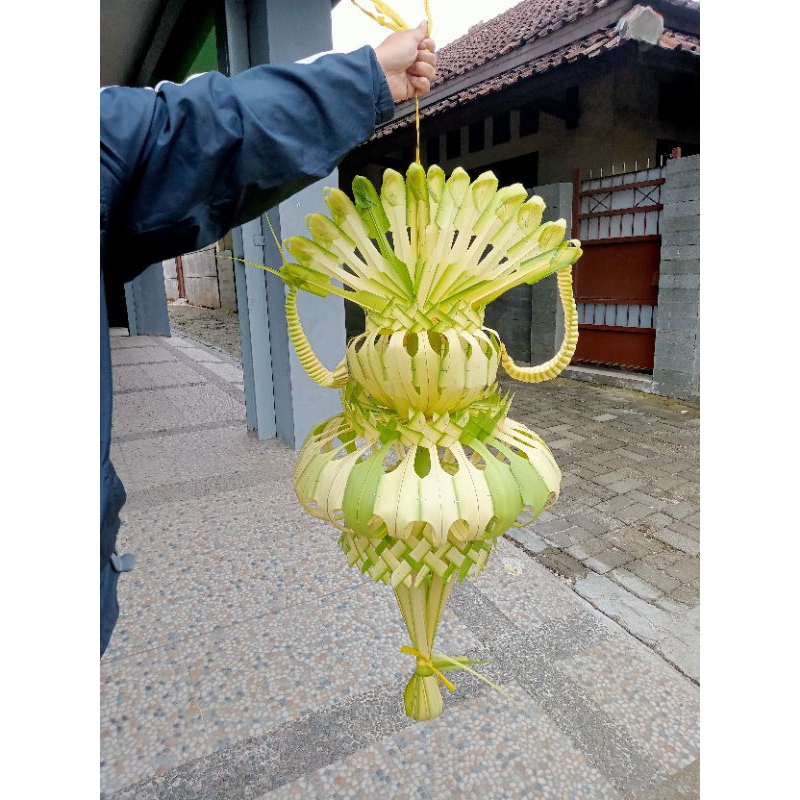 Jual Janur kuning asli segar khitanan/pernikahan | Shopee Indonesia