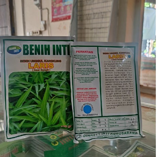 Jual benih kangkung laris benih inti 100gr daun sempit hijau biji bibit ...