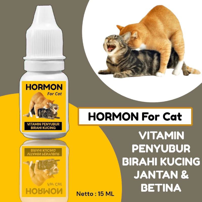 Jual HORMON For Cat VITAMIN BIRAHI DAN PENYUBUR suplemen kucing susah ...