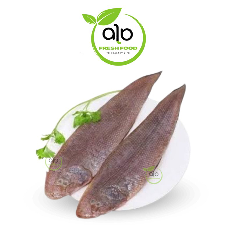 Jual IKAN LIDAH FRESH - ALO Fresh Food | Shopee Indonesia
