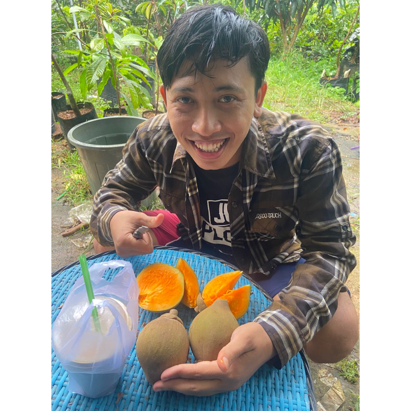 Jual Peruvians Sapote ( cupa-cupa ) | Shopee Indonesia