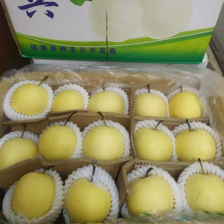 Jual Pear Centurry rrc berat 1 kg | Shopee Indonesia