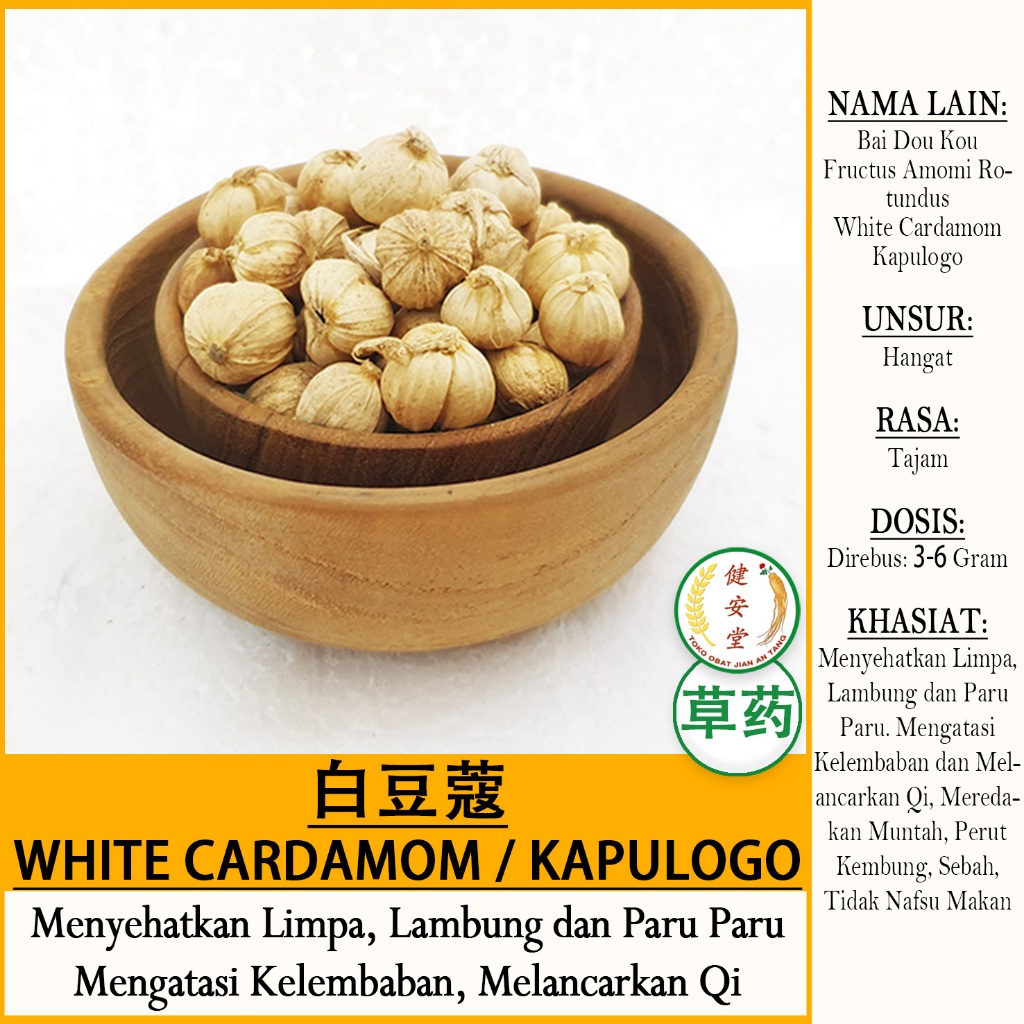 Jual BAI DOU KOU - KAPULOGO - White Cardamom - Fructus Amomi Rotundus ...