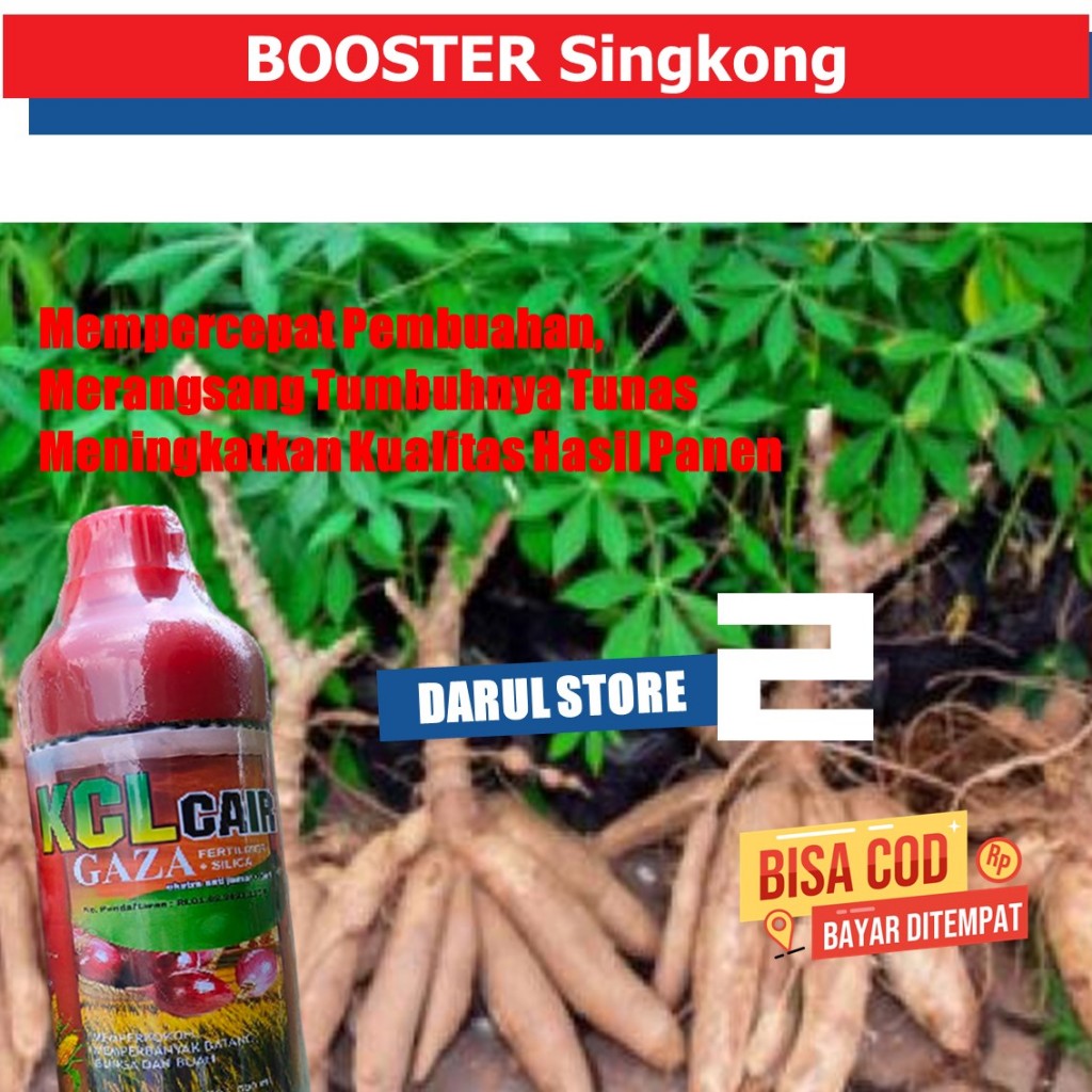 Jual PUPUK BOOTER Umbi Singkong BIAR LEBAT Tumbuh Cepat Besar dan ...