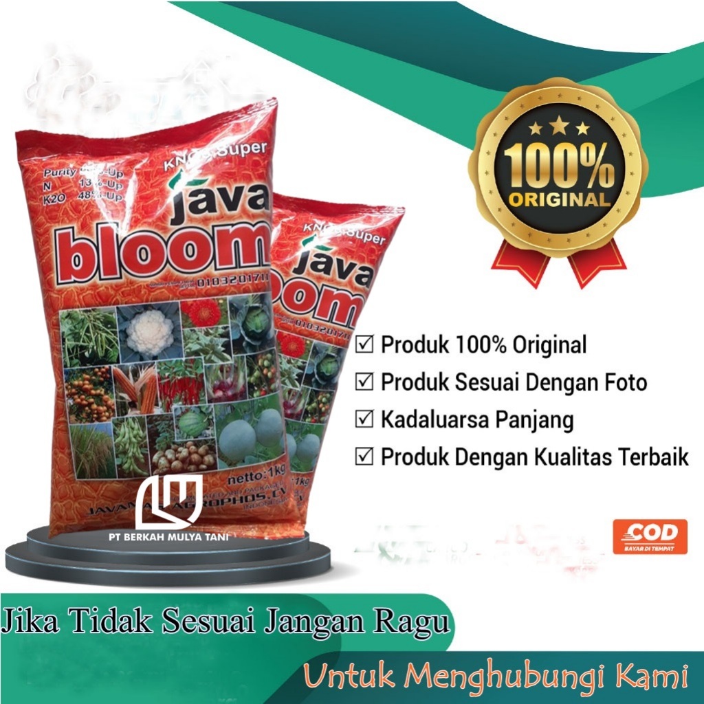Jual 1 Kg Pupuk KNO3 Super Java Bloom Fase Generatif Pembungaan Pembuahan | Shopee Indonesia