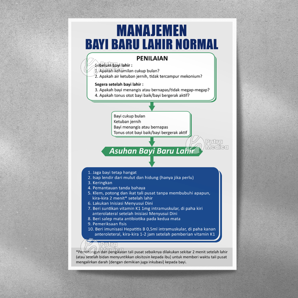 Jual Poster Kesehatan Manajemen BBL Bayi Baru Lahir Normal A3+ / Alur ...