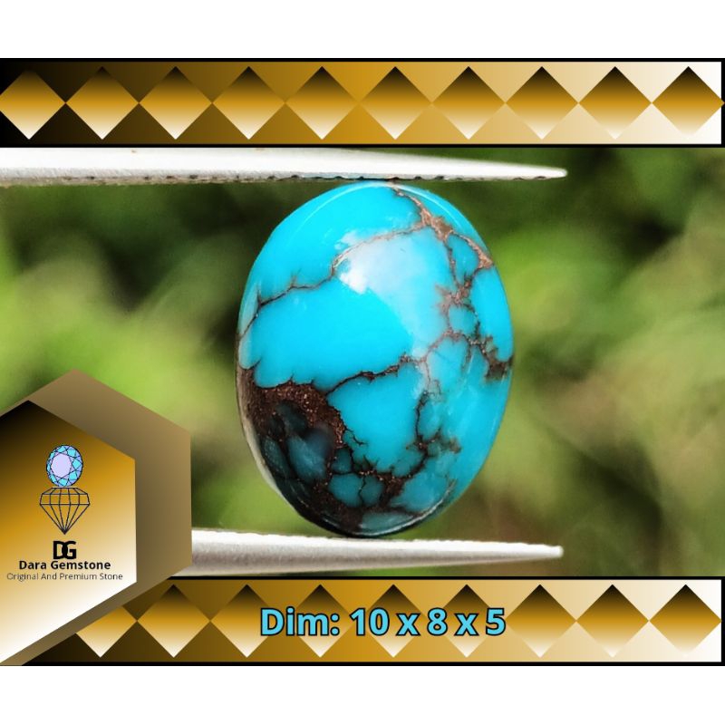 Jual Pirus Mesir Original 100% | Shopee Indonesia