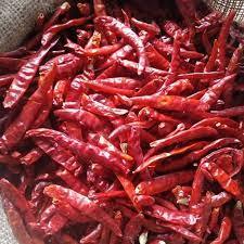 Jual CABAI RAWIT JAPLAK TEJA SUPER CABE KERING BUMBU SAMBAL BASO SEBLAK ...