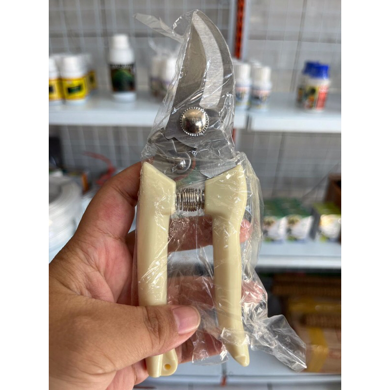 Jual Gunting Dahan Gunting Stek Ranting Pruning Gagang Putih | Shopee ...