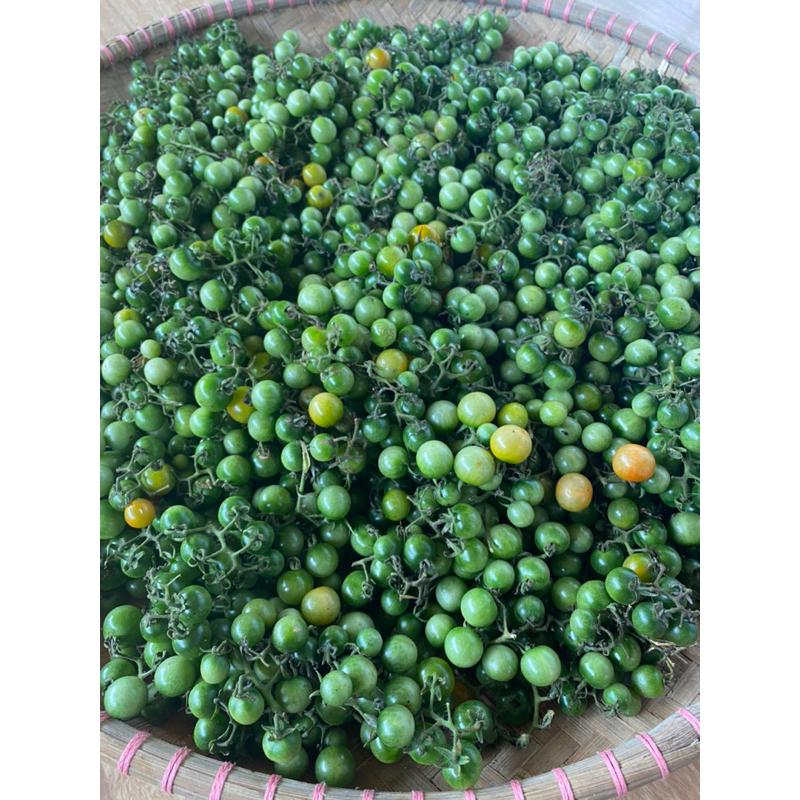 Jual Tomat rampai khas lampung yang masih ijo ukuran 1KG | Shopee Indonesia