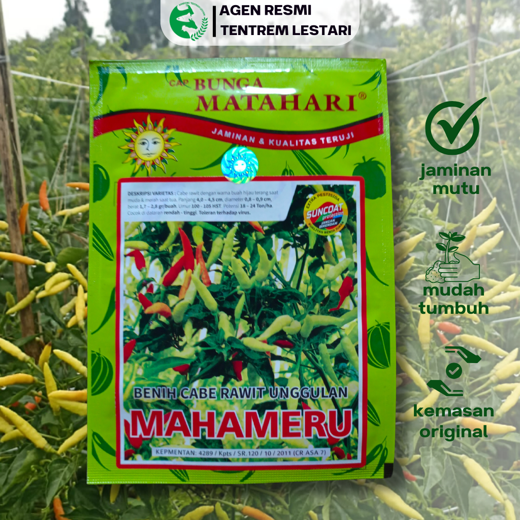 Jual Benih Cabai Rawit MAHAMERU 10 gr Cap Bunga Matahari Hydroponik Hidroponik Biji Cabe Putih ...