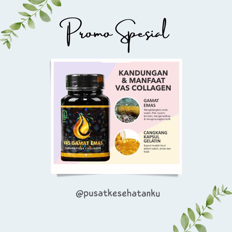 Jual Vas gamat emas collagen colagen original 100% asli ori pemutih ...