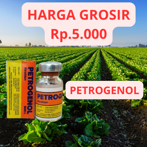 Jual Perangkap lalat buah petrogenol atraktan 800 L 1 box isi 20 @5ml ...