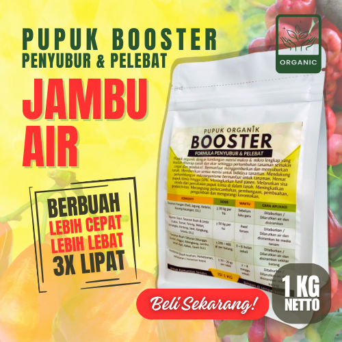 Jual Pupuk Booster Pelebat Buah Jambu Nutrisi Untuk Bunga Dan Buah Anti Rontok Pupuk Organik ...