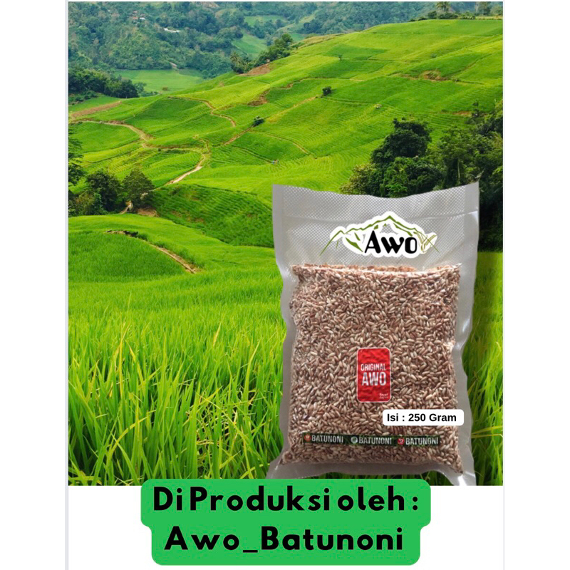 Jual AWO Beras ketan/pulu' mandoti kemasan vacuum 250gram. Kab. Enrekan ...