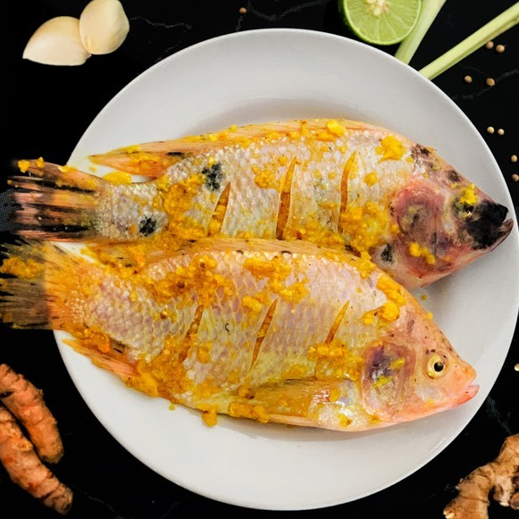 Jual Ikan Nila Bumbu Kuning Siap Goreng | Shopee Indonesia