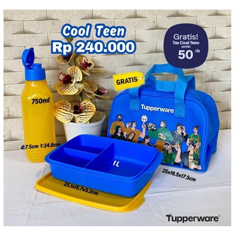 Jual Bekal Makan Lunch Set Coolteen Tupper...ware ORIGINAL | Shopee ...