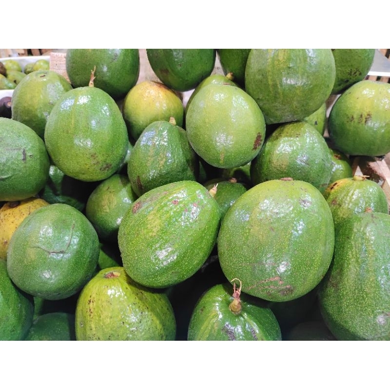 Jual Buah Alpukat Mentega Super Besar | Alpukat Markus Jumbo | Alpukat ...