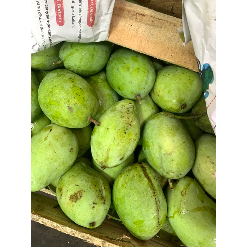 Jual Buah Mangga indramayu / mango fruit | Shopee Indonesia