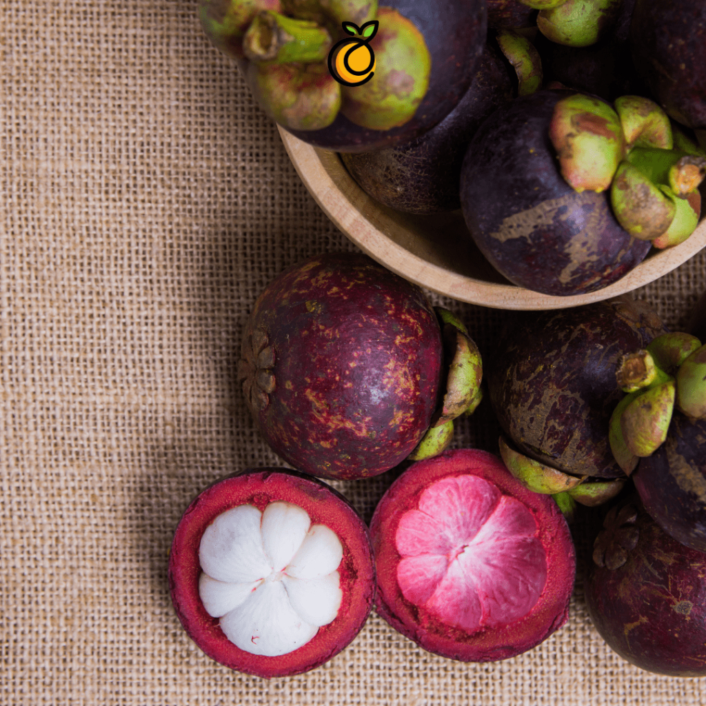Jual BUAH MANGGIS FRESH PREMIUM 1 KG | MANGGIS SEGAR | MANGGIS FRESH ...