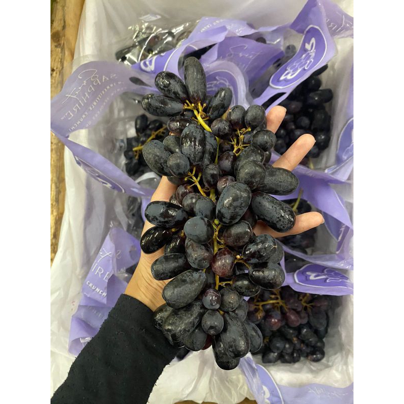 Jual Anggur jari moondrop (black sapphire) | Shopee Indonesia