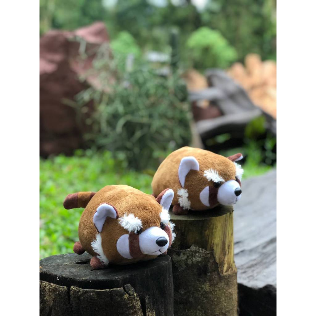 Jual Boneka Red Panda Gemuk I Red Panda & Panda Chubby Taman Safari ...