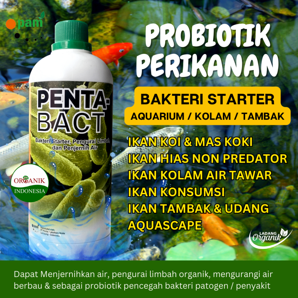 Jual Bakteri Probiotik Ikan Lele Nila Gurame / Budidaya Perikanan ...
