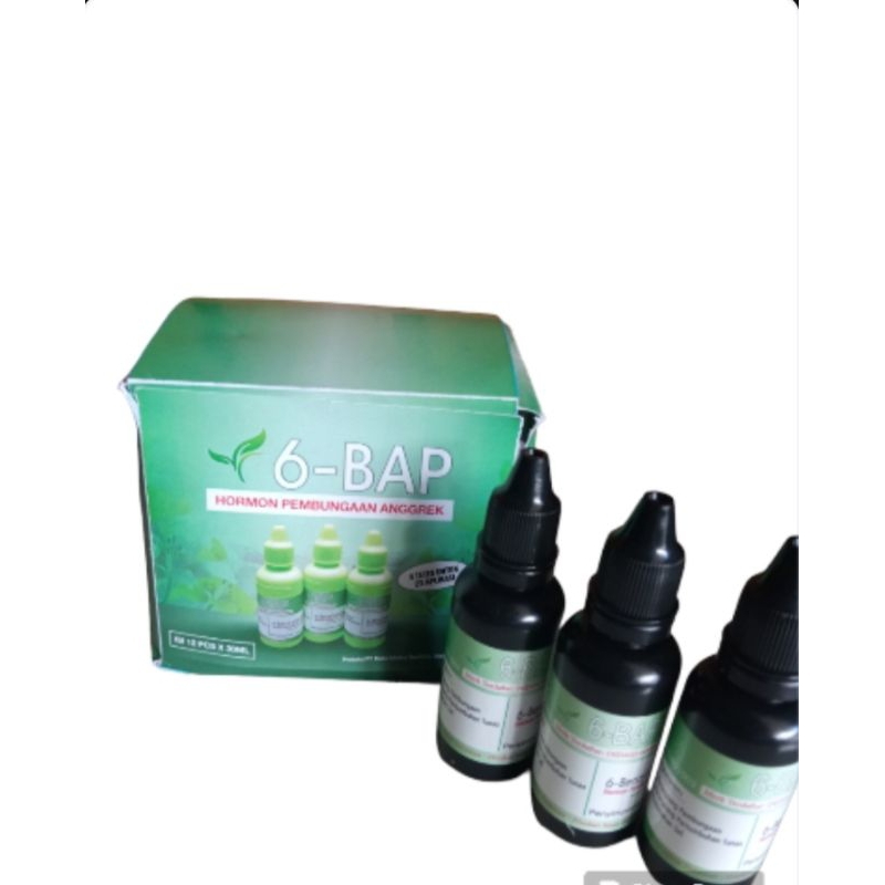 Jual Hormon Tanaman 6 BAP Benzylaminopurine Bud Breaker Perangsang ...