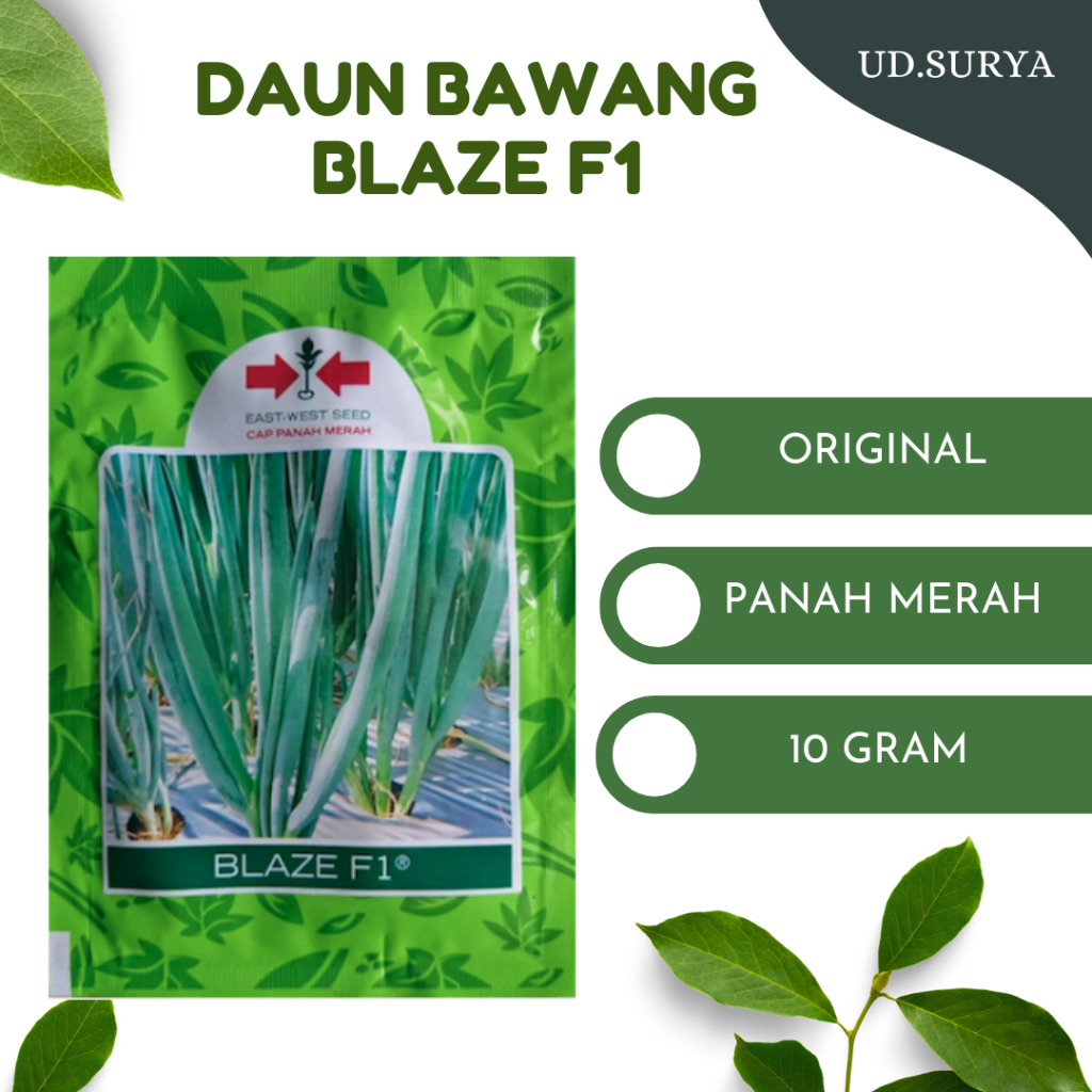 Jual BENIH DAUN BAWANG BLAZE 10 GRAM PRODUK PANAH MERAH | Shopee Indonesia