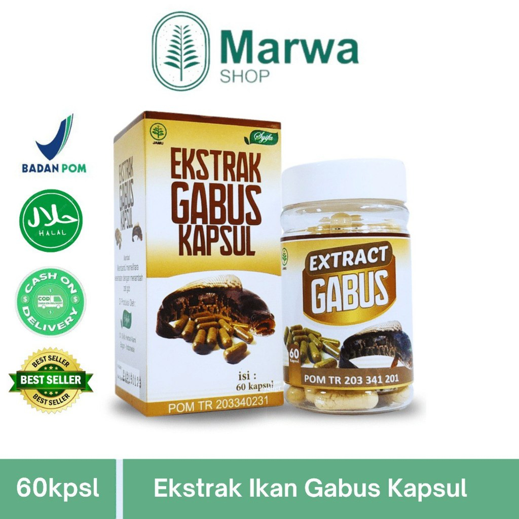 Jual Ekstrak Ikan Gabus 60 Kapsul Original | Shopee Indonesia