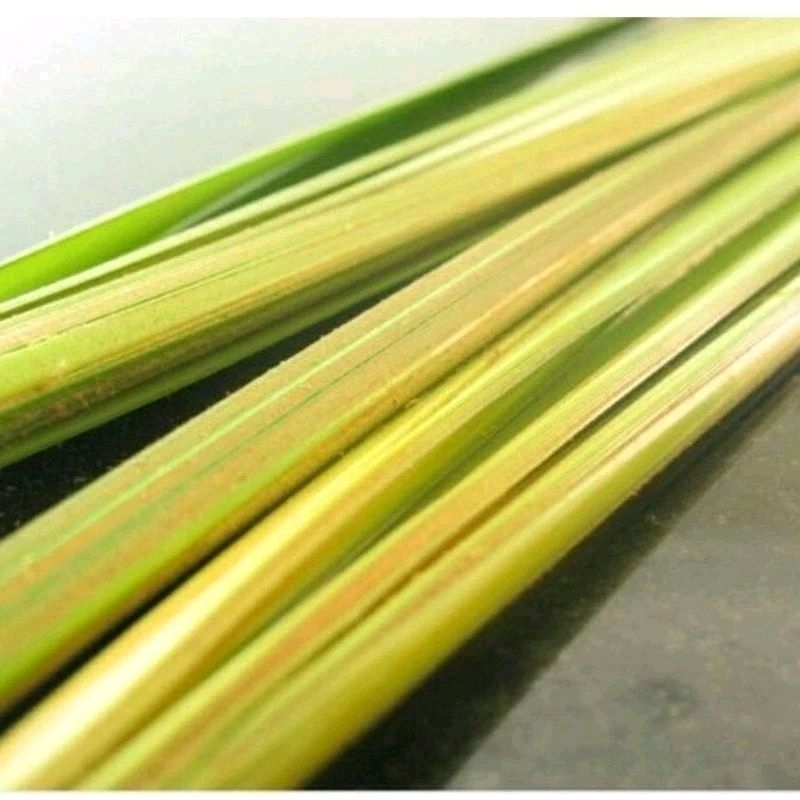 Jual Janur Daun Kelapa Muda isi 20 Biji ( 40 Helai ) | Shopee Indonesia