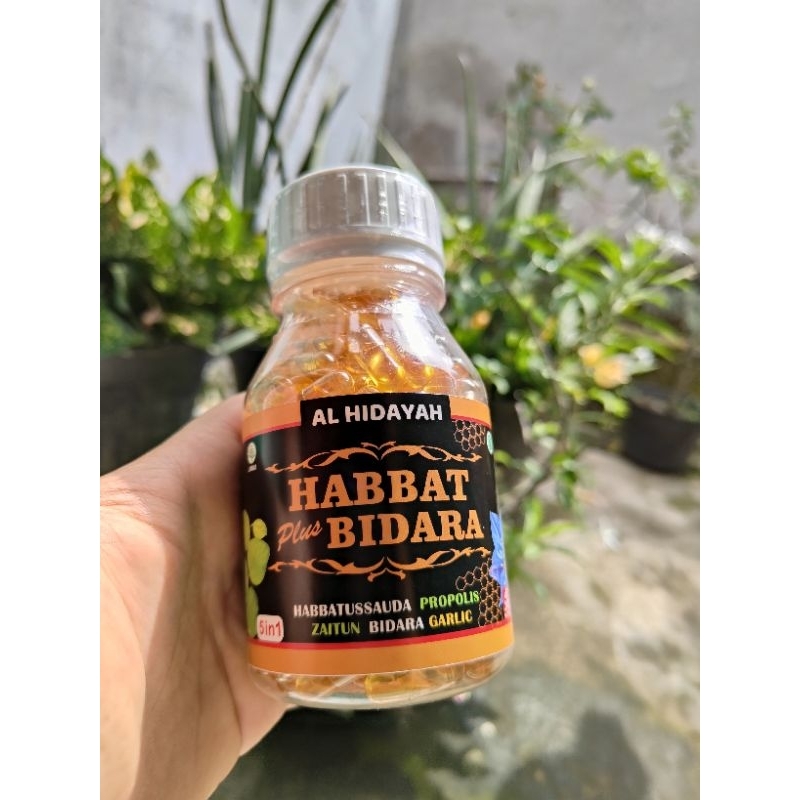 Jual HABBATUSSAUDA TRIGONA 5 IN 1 PROPOLIS BIDARA AL HIDAYAH ISI 200 ...