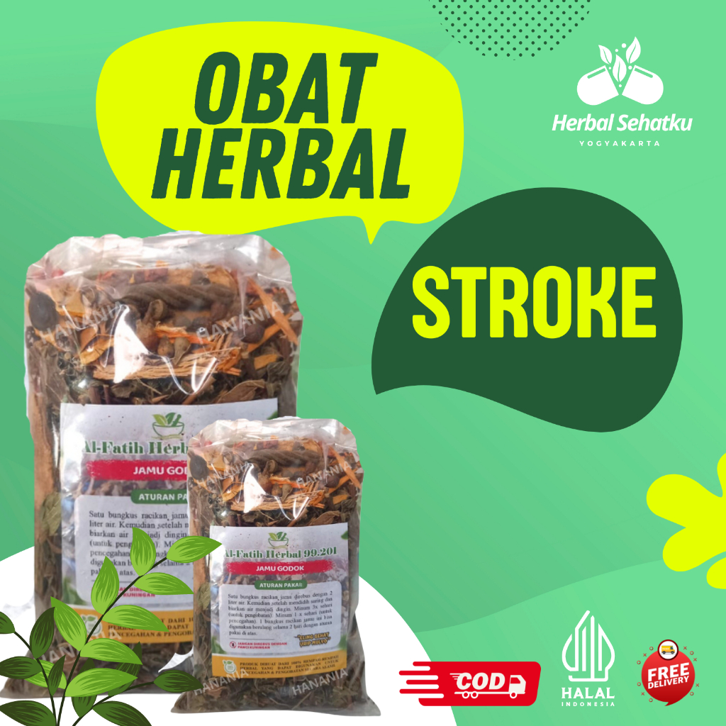 Jual Ramuan Obat Stroke Jamu Godokan Lumpuh Sulit Bicara Mati Rasa ...