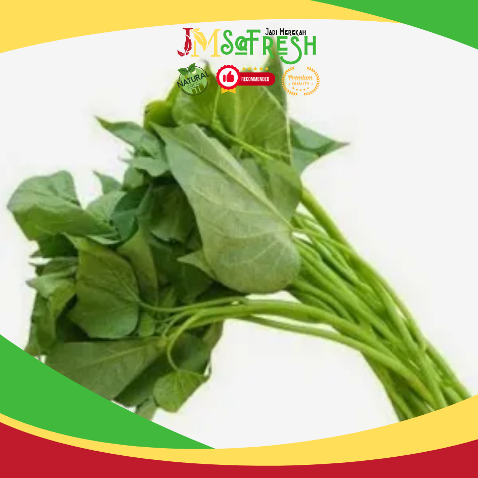 Jual [JM_SoFresh] Sayur Daun Ubi Muda Fresh / Sayur Daun Ketela Rambat Segar 1Ikat | Shopee ...