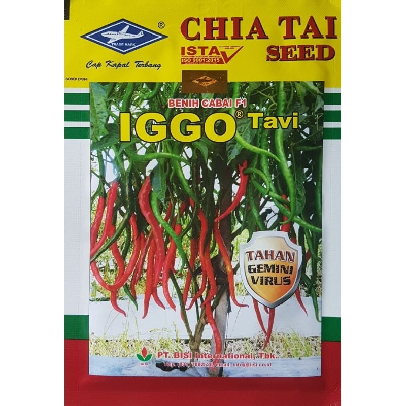 Jual Benih Cabai Cabe IGGO Tavi kemasan 10gram | Shopee Indonesia