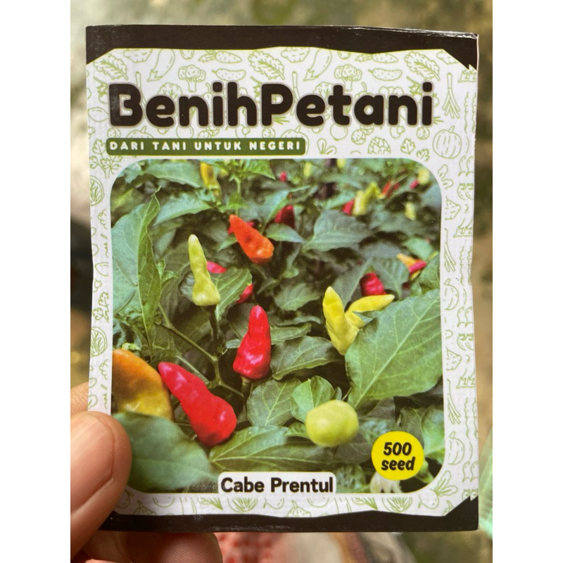 Jual 500 Benih CABE PRENTUL cabai gendut | Shopee Indonesia