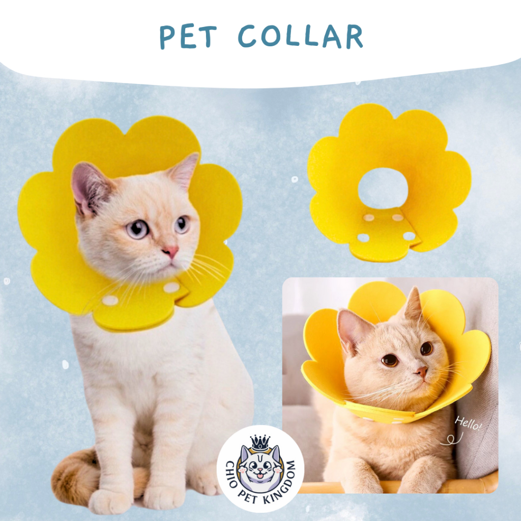 Jual Pet Collar Kucing Pelindung Leher Kucing Felt Circle Pet Sun ...