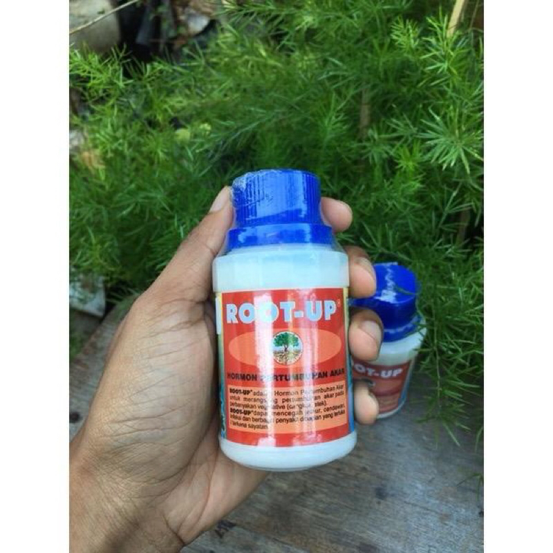 Jual ROOT UP PENUMBUH AKAR 100ML ROOT | Shopee Indonesia