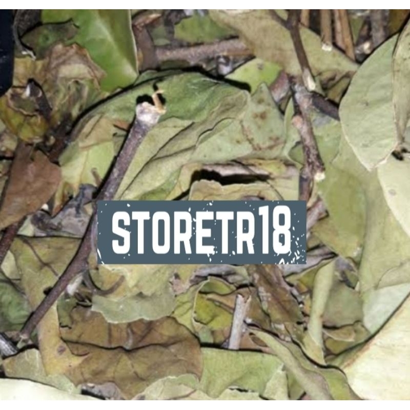 Jual Daun Benalu Pohon Mindi Kering Per 100 Gram | Shopee Indonesia