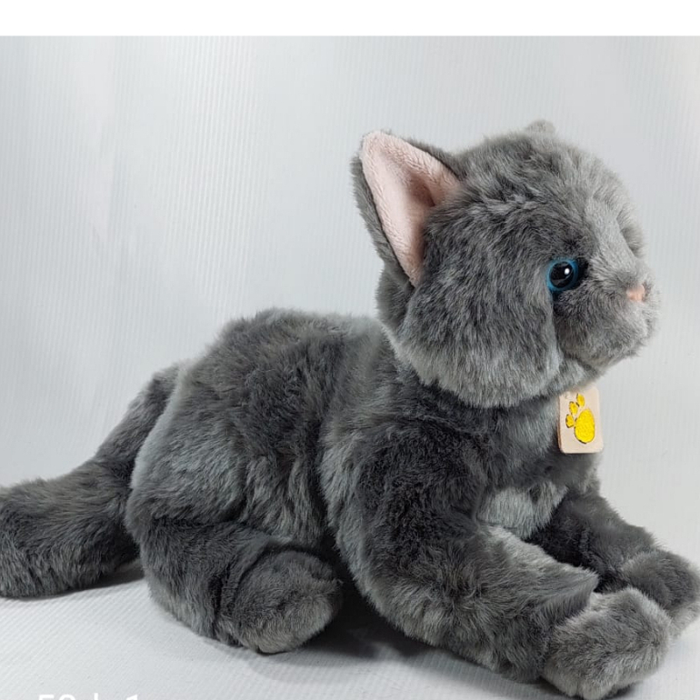 Jual Boneka Binatang Kucing Cat Kitty Cute Soft - Ukuran M ( Cocok ...