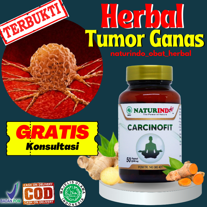 Jual Obat Herbal Kanker Kangker Tumor Benjolan Di Leher Payudara Ketiak ...