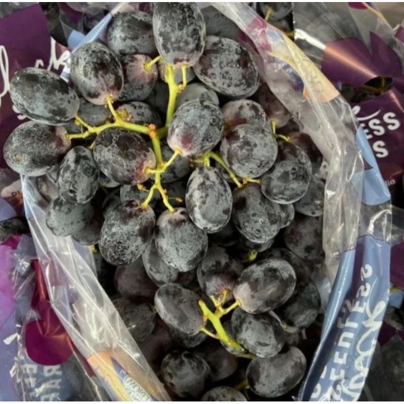 Jual Anggur hitam import , berat 500 gram (pengiriman dr Medan ...