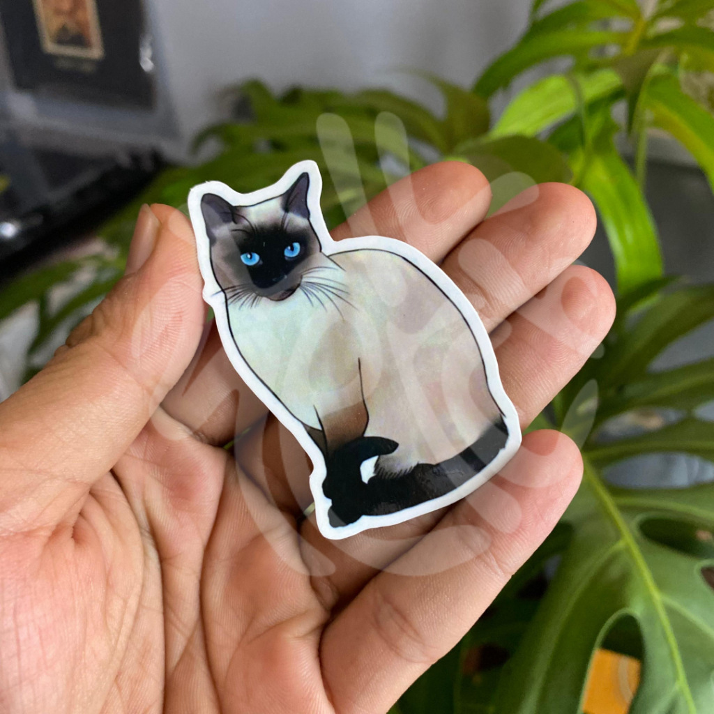 Jual stiker kucing / aesthetic sticker / sticker tumblr / aesthetic ...